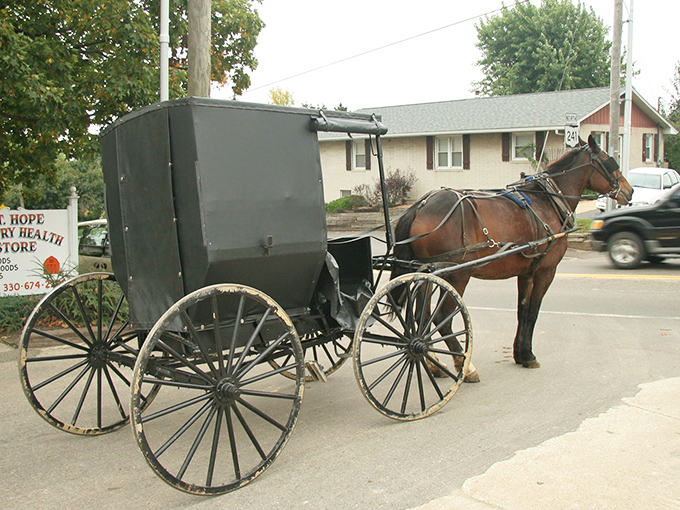 Where modern transportation takes a backseat. This Amish buggy parked outside the Country Health Store represents Mount Hope's perfect blend of tradition and practicality.