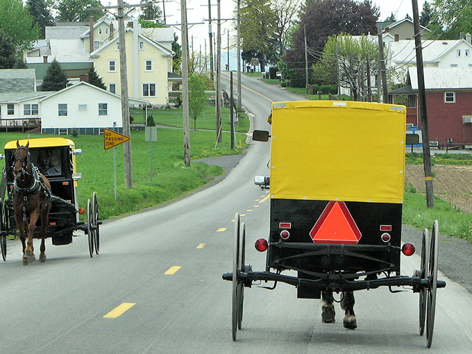 The quintessential Belleville scene: Amish buggies sharing the road with modern vehicles, a daily reminder that time moves differently here.