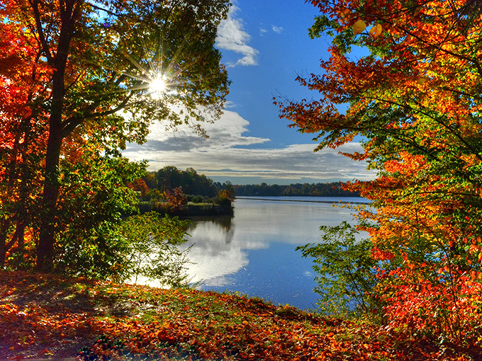 Nature's autumn masterpiece frames Harrison Lake like a living painting, proving Ohio doesn't need mountains to create breathtaking vistas.