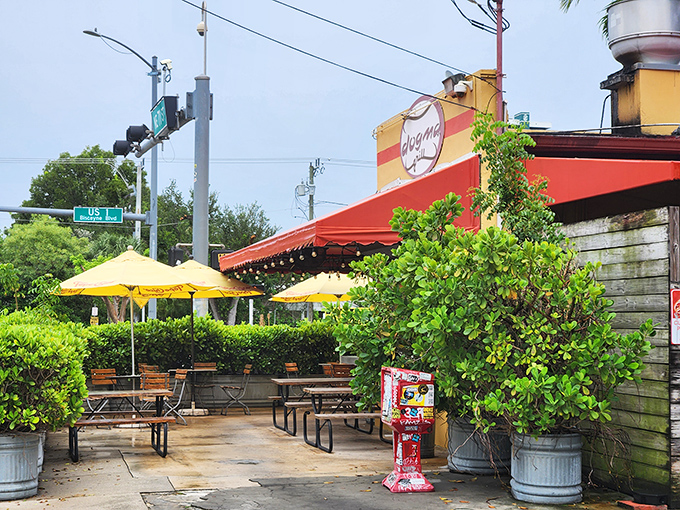 The iconic red awning and cheerful yellow umbrellas of Dogma Grill beckon like a culinary lighthouse on Biscayne Boulevard, promising simple pleasures done right.