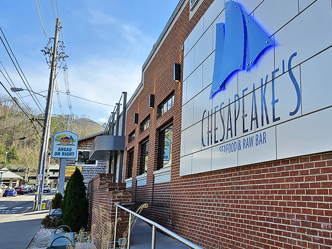 The blue marlin sign beckons like a maritime lighthouse amid Gatlinburg's mountain landscape. Fresh seafood in Tennessee? Believe it.