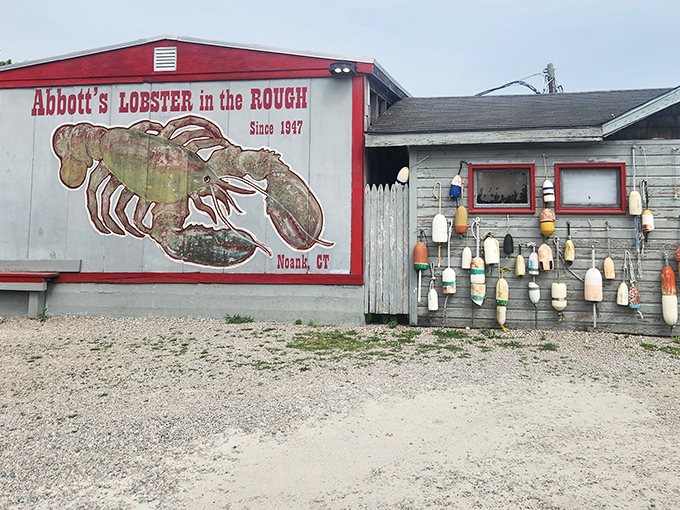 The iconic red lobster mural welcomes seafood pilgrims to this coastal shrine, where buoys hang like maritime Christmas ornaments on the weathered exterior.