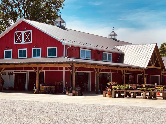 The iconic red barn structure of Smith Farm Market stands proudly against the Ohio sky, promising farm-fresh treasures within its welcoming walls.