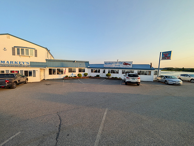 From the parking lot, you can almost hear the lobsters whispering, "Pick me, pick me!" as Markey's welcomes hungry visitors with its no-nonsense New England charm.