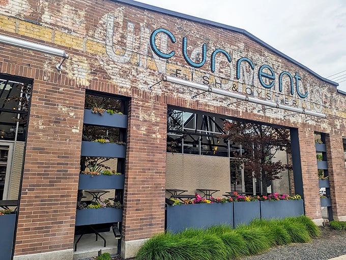 The weathered brick exterior of Current Fish & Oyster stands like a culinary time machine&mdash;industrial chic meets seafood sanctuary in downtown Salt Lake City.