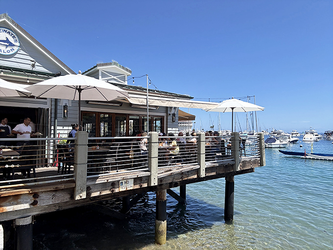 Waterfront dining doesn't get more literal than this&mdash;Bluewater Avalon's deck hovers above the bay like a seafood mirage with a view.