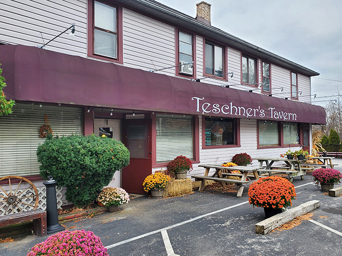 Autumn's finest backdrop for Teschner's Tavern, where seasonal mums and picnic tables promise a warm welcome before you even step inside.