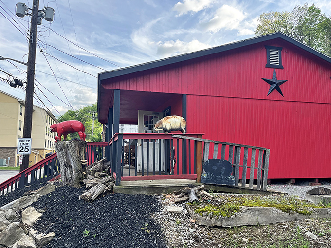 A star on the building and pig figurines welcome you to barbecue paradise. Like finding the entrance to Narnia, but with more smoke and sauce.