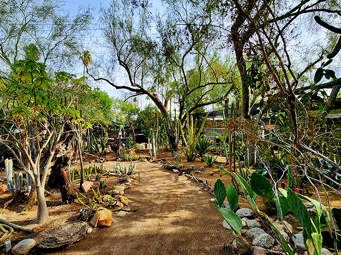 Winding paths through botanical chaos &ndash; where every turn reveals another impossible plant that shouldn't exist but absolutely does.