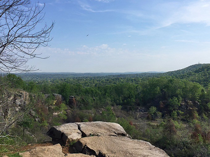 Winter's bare branches frame Birmingham's endless horizon at Hawk's View, where ancient rocks meet infinite sky.