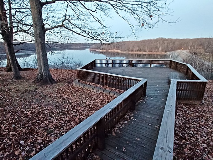 Nature's front-row seat: this picnic area offers million-dollar views without the admission price. Just BYO sandwich and prepare for instant serenity.
