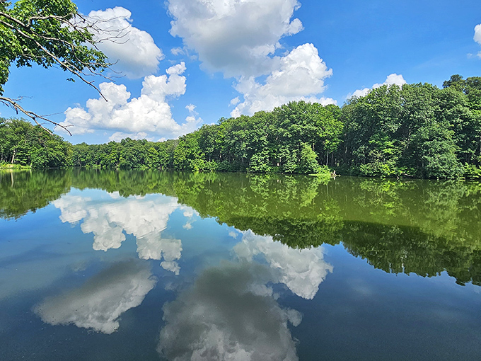 Mirror, mirror on the lake – nature's selfie game is strong at Walnut Point, where clouds admire their reflection in perfect stillness.