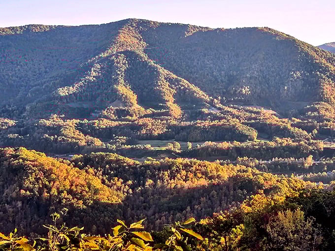 Autumn paints Pine Mountain in gold and amber, creating a masterpiece that would make Bob Ross reach for his happy little brushes.