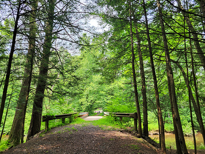 A bridge to tranquility awaits at Nescopeck, where towering trees stand guard over paths less traveled. Nature's cathedral at its finest.