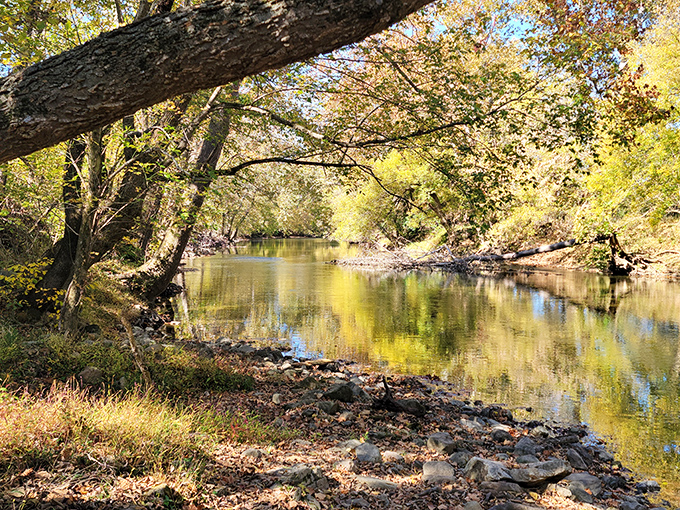 Nature's mirror game is undefeated here, where autumn trees reflect in the North Fork's gentle current like they're admiring their own outfit.
