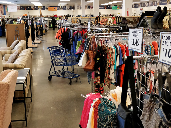 The treasure hunt begins! Racks of colorful possibilities await, with blue shopping carts standing ready for your thrifting adventure through this wonderland of second chances.