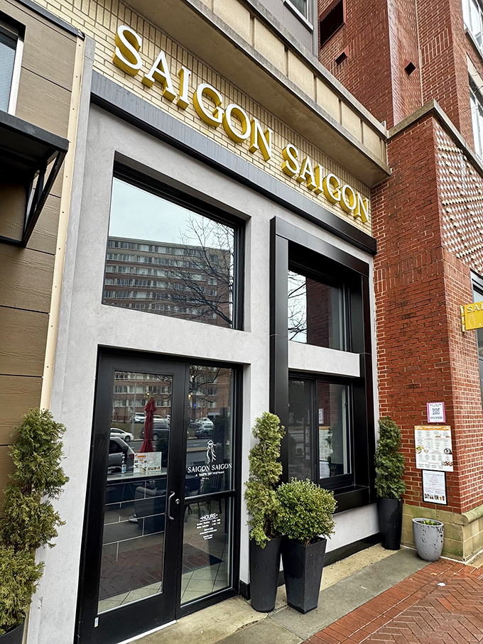 The golden lettering of Saigon Saigon beckons from its modern storefront, promising authentic Vietnamese flavors behind those sleek glass doors.