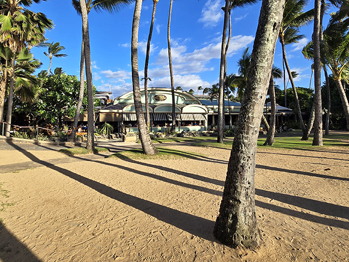 Beach-to-table dining at its finest. The sandy path to Mama's feels like discovering a secret culinary oasis that locals have been trying to keep to themselves.