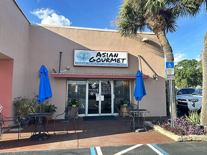 That unassuming strip mall exterior hides culinary treasures that'll make you question every fancy restaurant you've ever overpaid for.