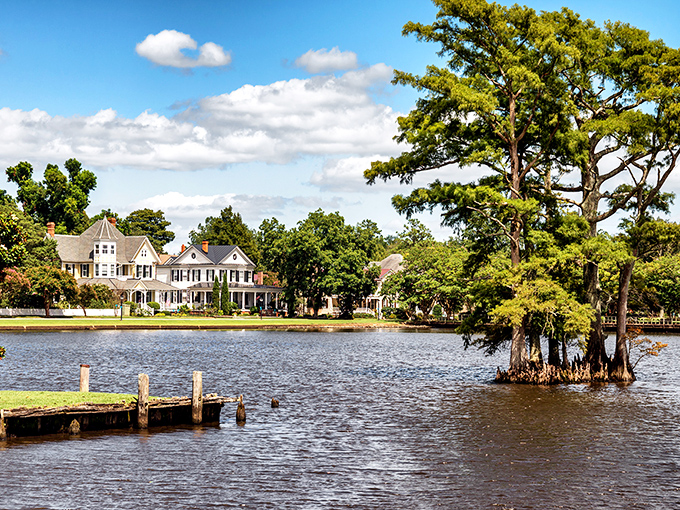 Cypress trees rise from the water like nature's sculptures, framing elegant waterfront homes that make you wonder if you've stumbled onto a movie set.
