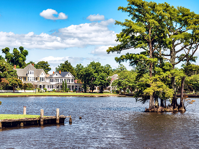 Cypress trees stand like sentinels in the water, guarding Edenton's shoreline where historic homes gaze out over the tranquil Albemarle Sound.
