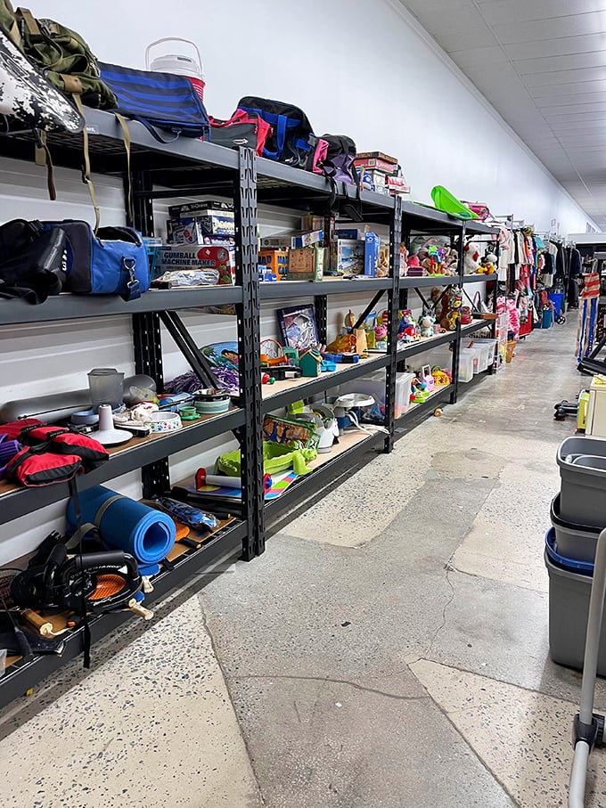 Organized chaos at its finest &ndash; where camping gear meets children's toys in the retail version of "six degrees of separation."