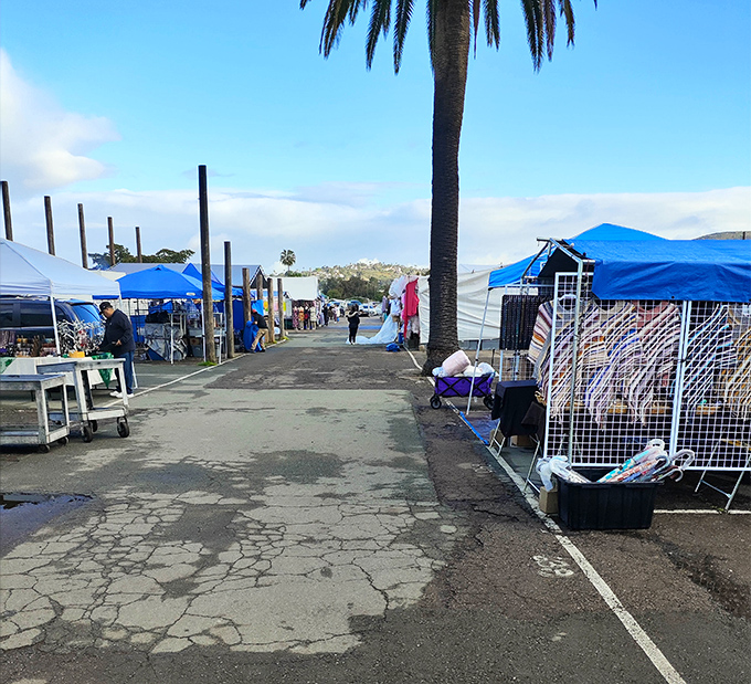 The market's rhythm changes throughout the day, with early birds scoring the best finds while late arrivals enjoy more negotiating leverage.