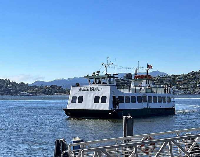 Your chariot to paradise awaits! The Angel Island Ferry promises a journey where "Are we there yet?" quickly transforms into "Can we stay longer?"