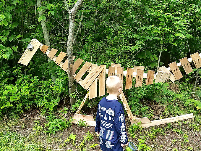 Childhood wonder meets artistic vision as young visitors discover dinosaurs made not from fossils, but from the fossilized remains of America's automotive past.