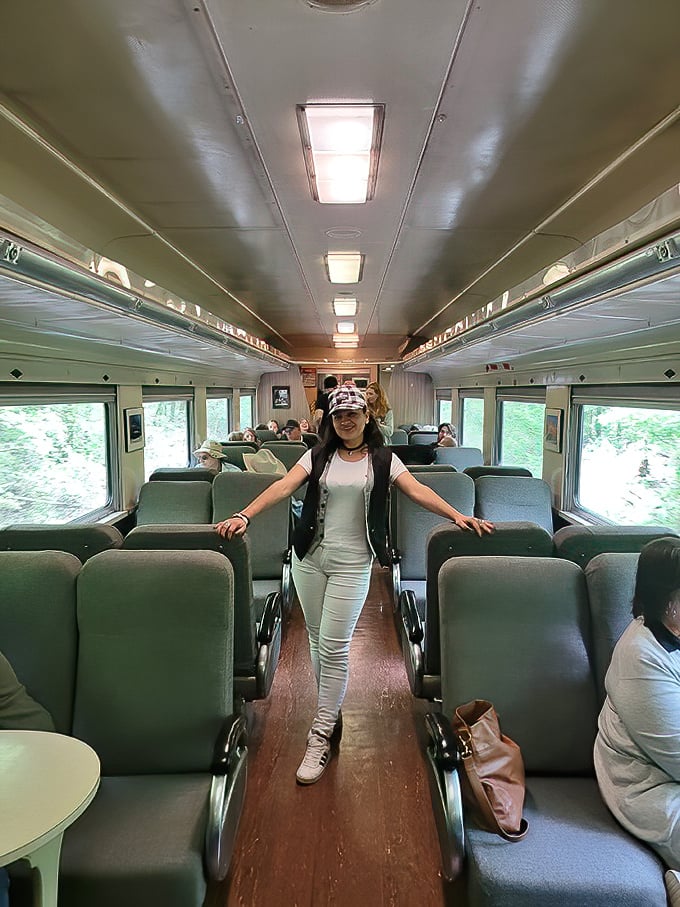 Passengers of all ages find joy in the simple pleasure of watching Tennessee roll by.