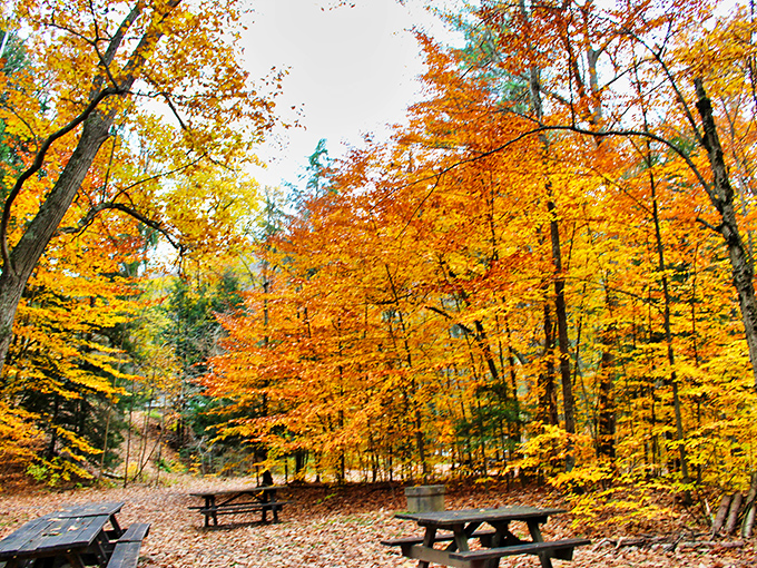 Autumn paints Worlds End with its most vibrant palette&mdash;Mother Nature showing off her interior design skills.