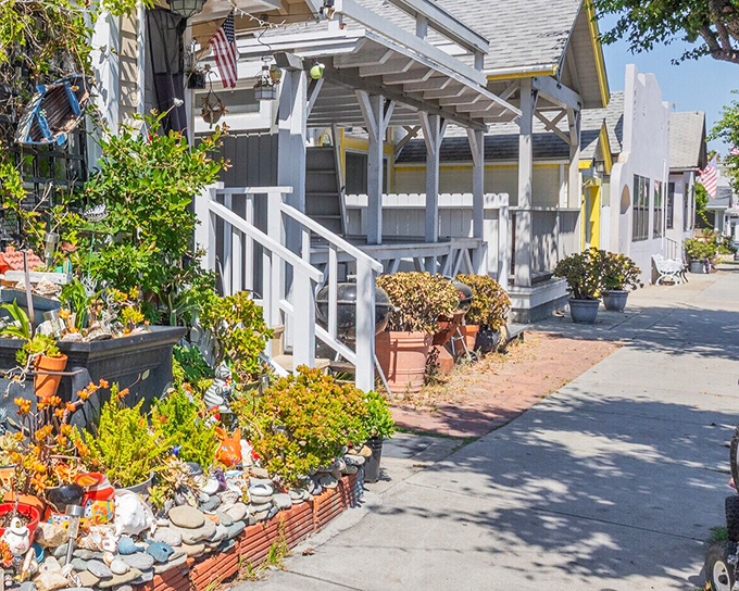 Charming bungalows with pocket gardens create Avalon's neighborhood magic, where every turn reveals another slice of island living at its most idyllic.