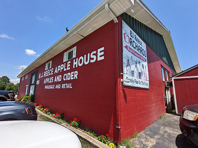 B.J. Reece Orchards' Apple House stands proudly in fire-engine red, like a barn that decided to dress up for a night on the town.