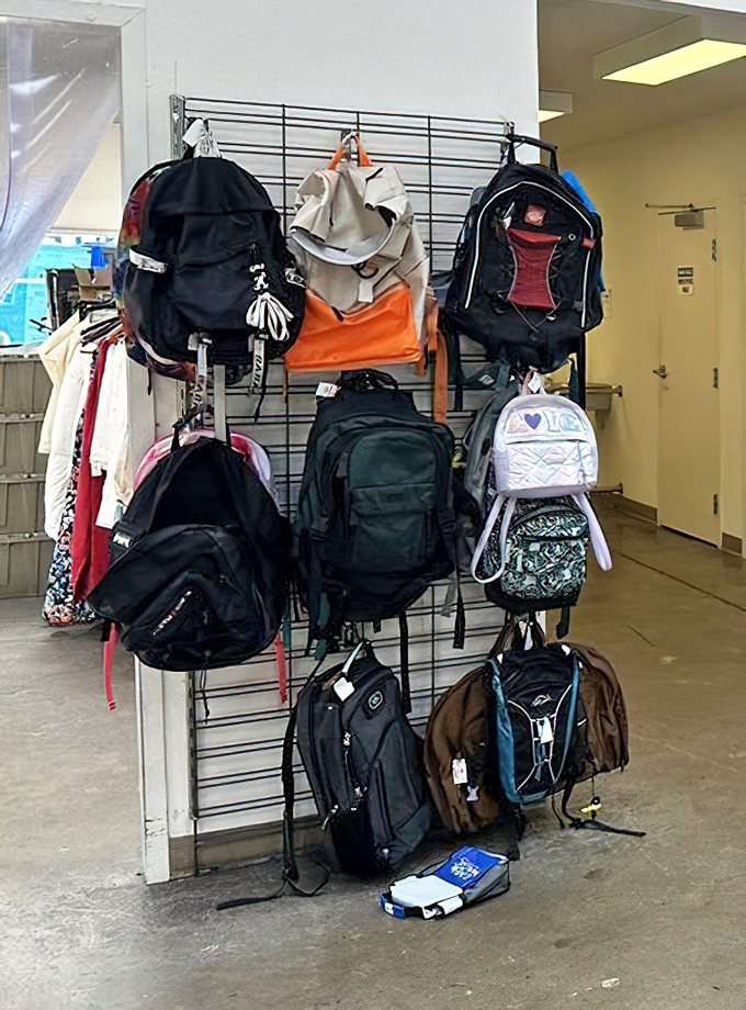 Backpack bonanza! School supplies, hiking gear, or urban essentials – these bags have carried dreams before and are ready for yours.