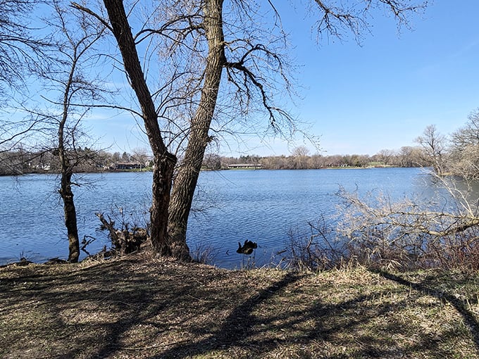 Bancroft Bay Park offers tranquil lake views that whisper "slow down" more effectively than any meditation app on your phone ever could.