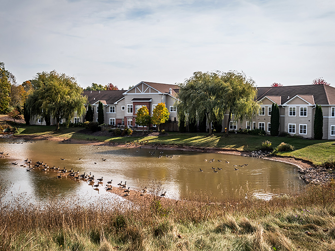 Geese have clearly discovered what humans are figuring out&mdash;Elkhart Lake's peaceful waters make for the perfect weekend retreat.
