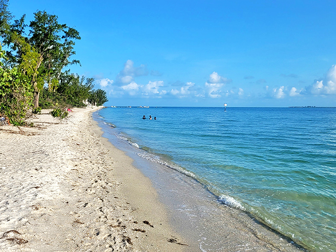 Bayfront Park's gentle shoreline invites even the most dedicated beach potato to wade in. The water's so clear you can count your toes from standing depth.