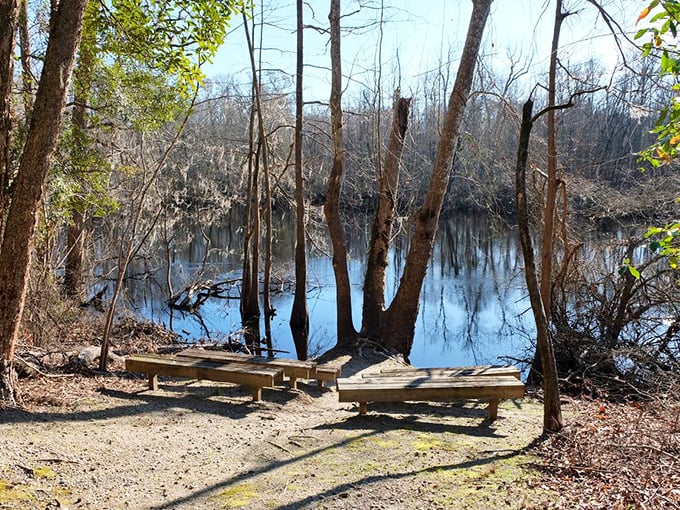 These simple wooden benches offer front-row seats to nature's greatest show &ndash; no tickets required, standing ovations guaranteed.