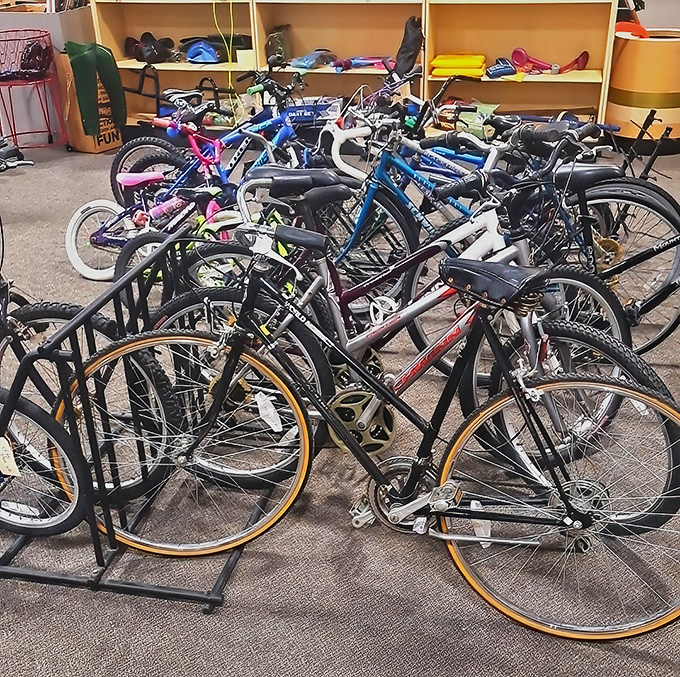 Pedal power on parade&mdash;from kids' first bikes to adult cruisers, this two-wheeled collection offers transportation with a side of nostalgia.