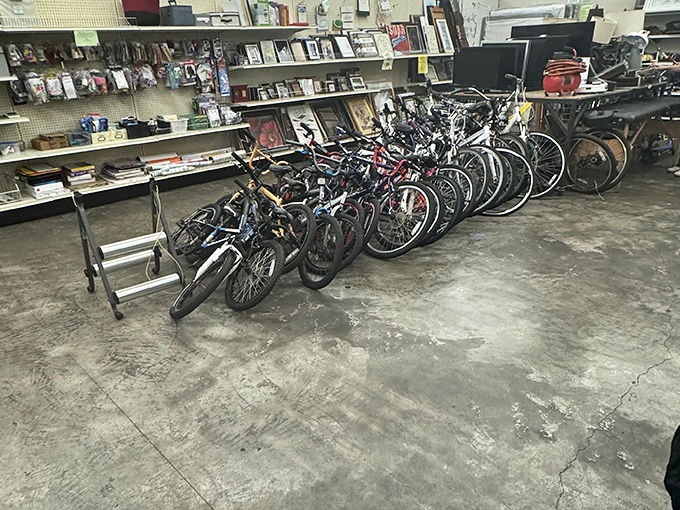 The bicycle graveyard &ndash; where two-wheeled chariots await resurrection by someone with WD-40, patience, and YouTube tutorial skills.