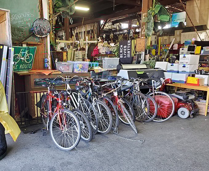 Bicycles lined up like eager puppies at an adoption event, each one hoping you'll take it home for new adventures.
