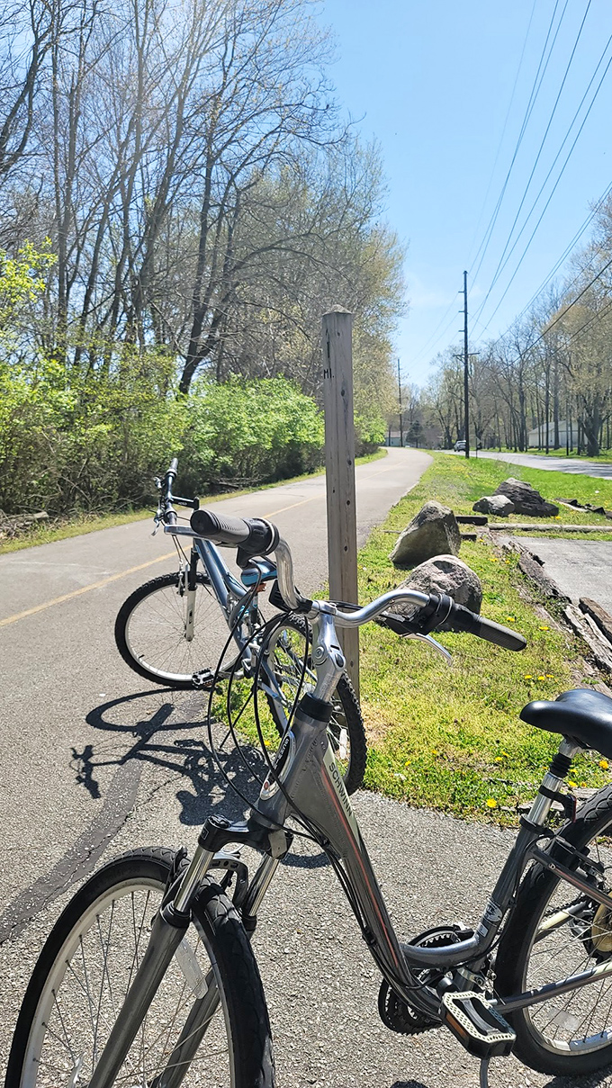 Peru's bike paths offer scenic routes for those who understand that the best retirement plan includes daily doses of fresh air and gentle exercise.