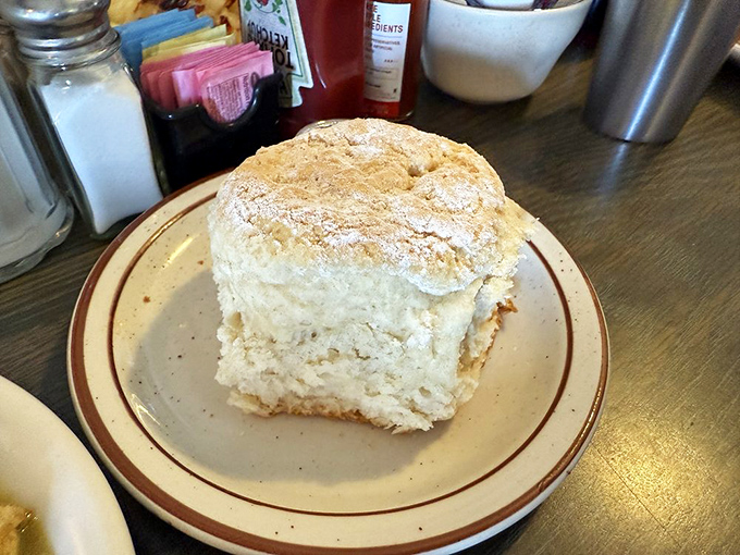 This biscuit has more rise than a Hollywood success story &ndash; tall, proud, and ready for its close-up with butter and jam.