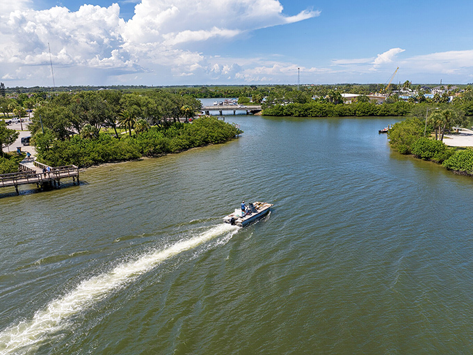 Boating through the Intracoastal Waterway, where mangroves create nature's perfect maze and every dock tells a story of fishing triumphs.