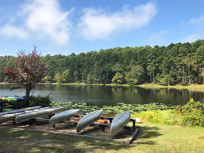Canoes waiting patiently for their next adventure. Like loyal dogs, they're just hoping you'll pick them for the journey.
