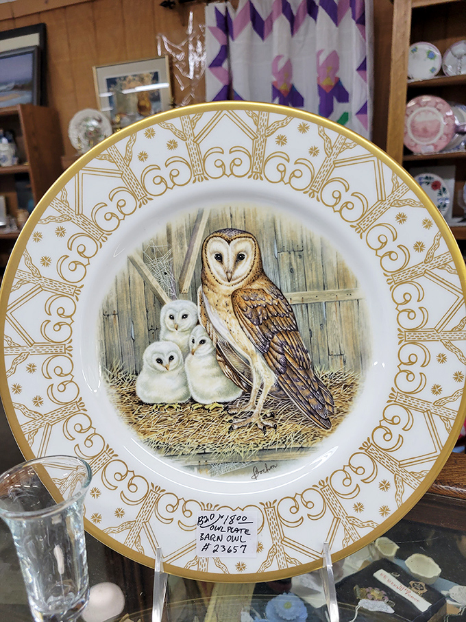 This isn't just a decorative plate&mdash;it's functional art where barn owls keep watch over your dinner rolls with golden-rimmed elegance.