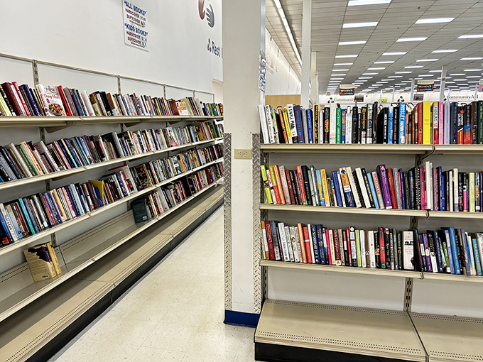 The book section rivals some small-town libraries, offering everything from dog-eared paperbacks to pristine hardcovers waiting for their next reader.