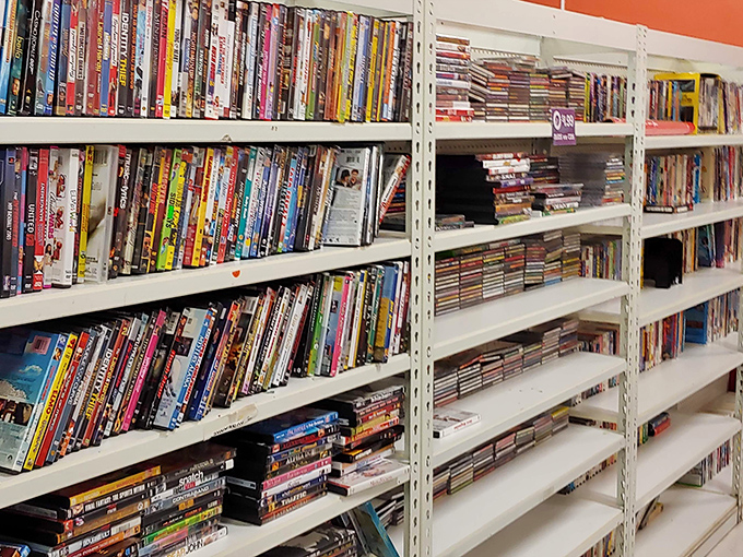 DVDs stacked like literary dominoes &ndash; your next binge-watch session costs less than a fancy coffee.