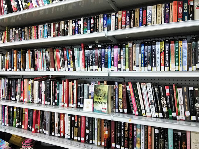 The book section &ndash; where bestsellers go to retire and find new readers. Literary treasures hiding between forgotten celebrity memoirs and outdated travel guides.