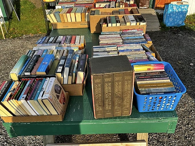 Books by the boxful&mdash;literary treasures waiting for new shelves to call home. Someone's next favorite read is hiding here.